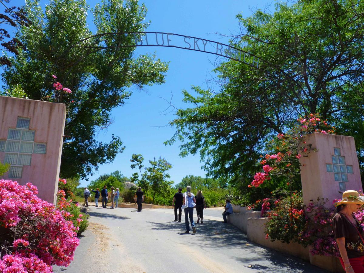 OUT OF ASHES, INTO THE FUTURE: BLUE SKY RANCH | East County Magazine