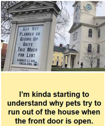 MEMES BRING HUMOR TO THE HOMEBOUND DURING QUARANTINE | East County Magazine