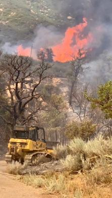 Pine Valley | East County Magazine